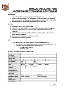 Northern Cape Provincial Government Bursary Application Form 2022 ...