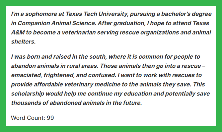 100 word article example | Bursaries South Africa