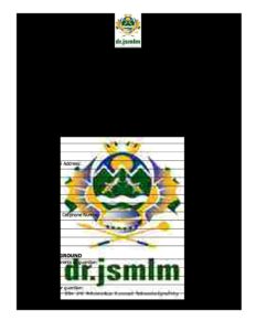 Dr JS Moroka Local Municipality Bursary Application Form 2024 ...